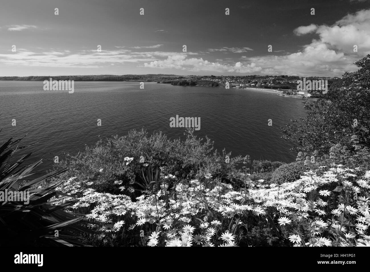 The sweeping Goodrington Sands beach, Torbay, English Riviera, Devon ...