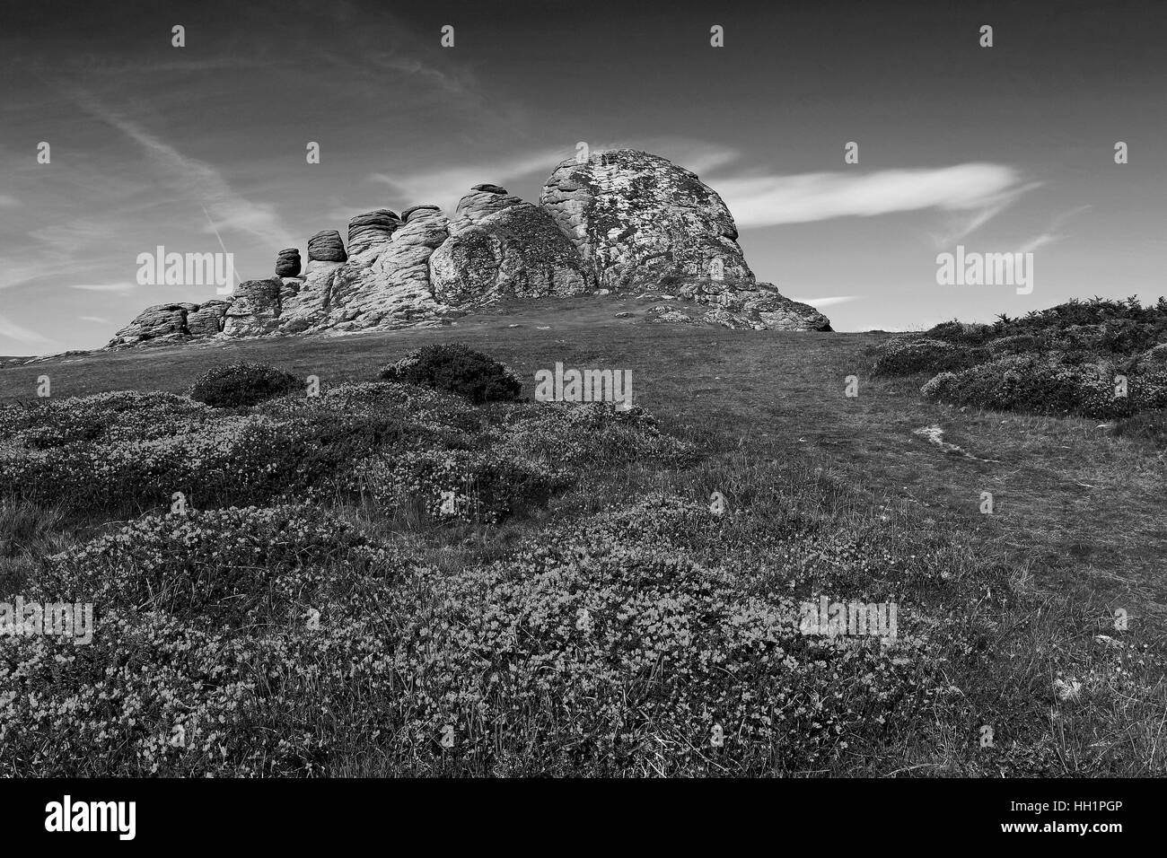 Summer, Haytor Down, Haytor Rocks, Dartmoor National Park, Devon County ...