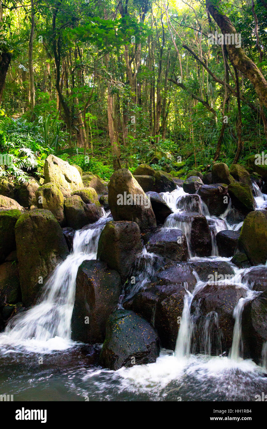 Small waterfall in the jungle near the Wailua River on Kauai, Hawaii ...