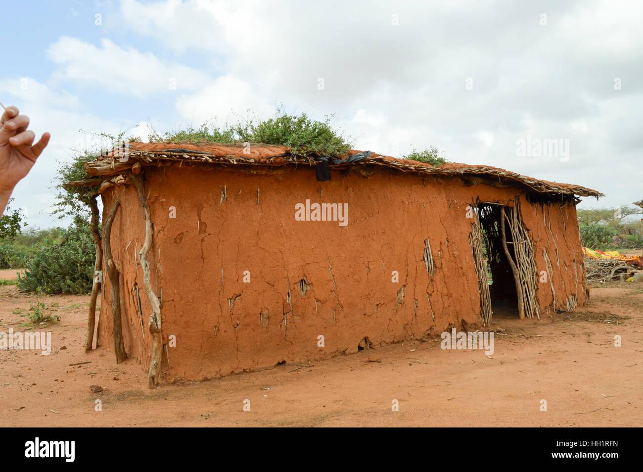 Traditional house of masai in earth and wood in a village of Kenya ...