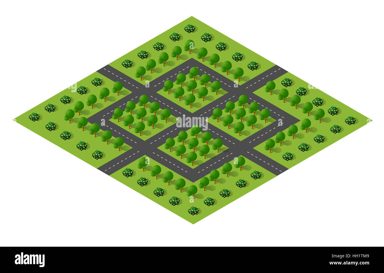 Tree wood outdoor road Cut Out Stock Images & Pictures - Alamy