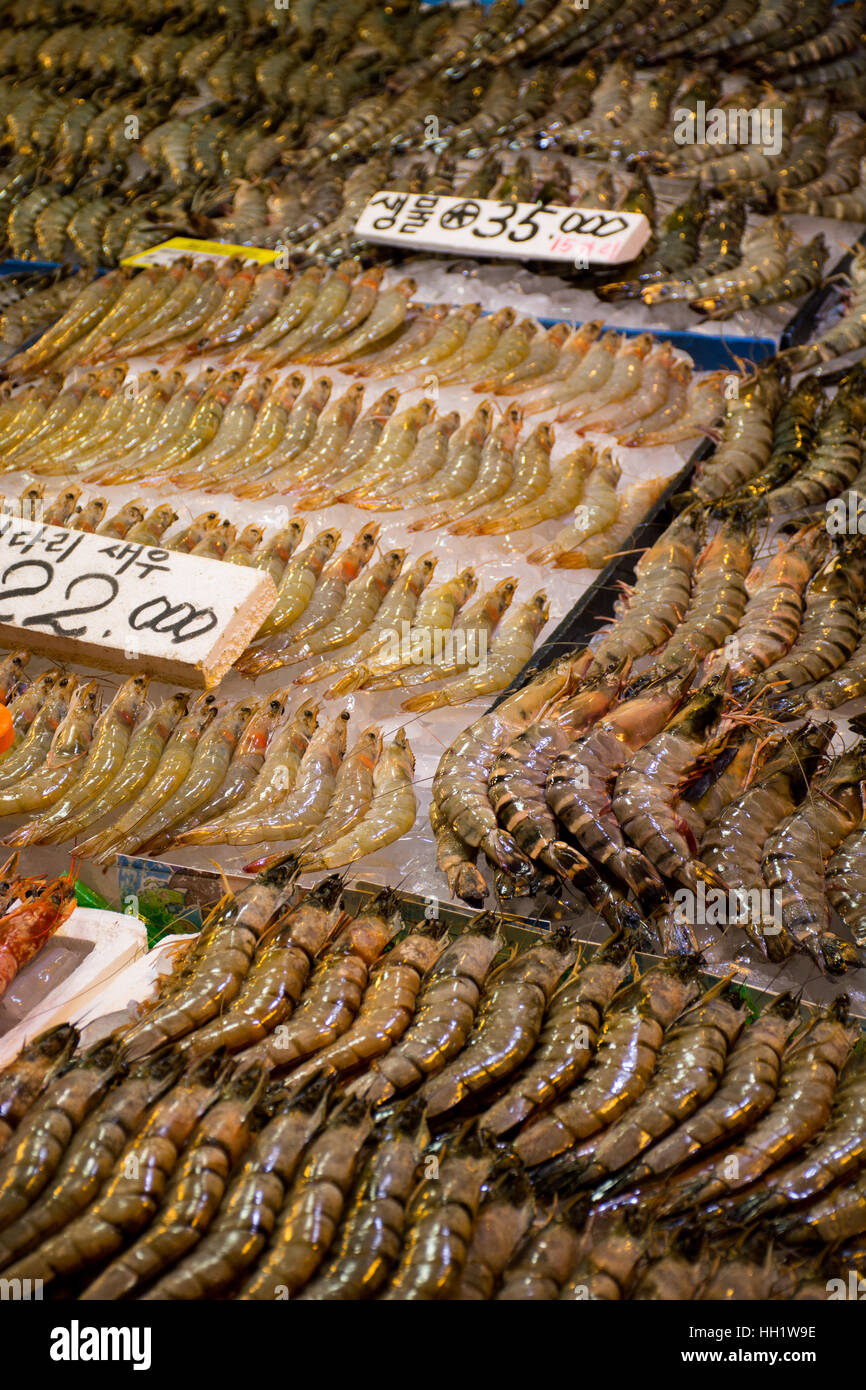 Korean market prawns hi-res stock photography and images - Alamy
