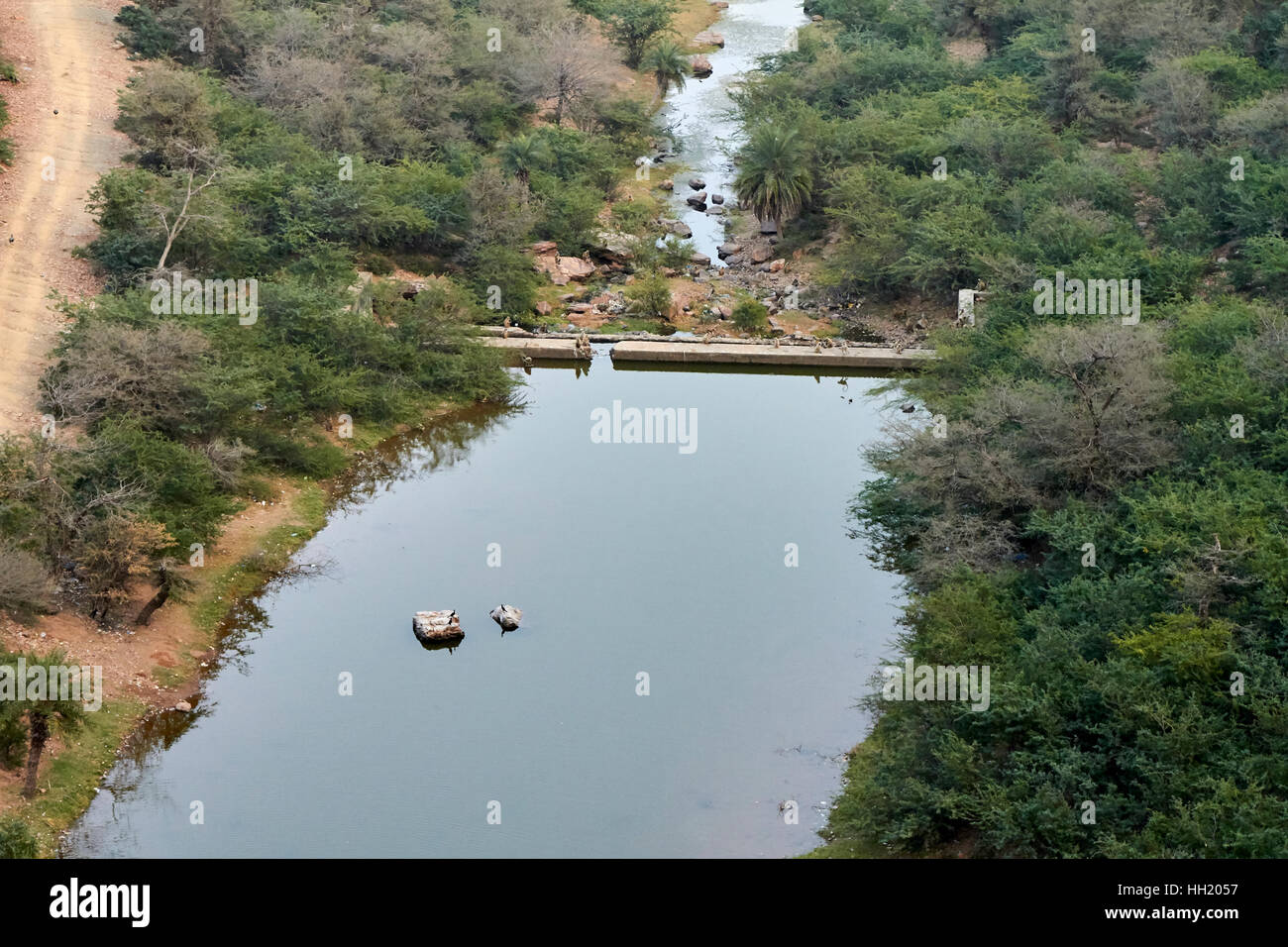 Ranthambore tiger ruins hi-res stock photography and images - Alamy