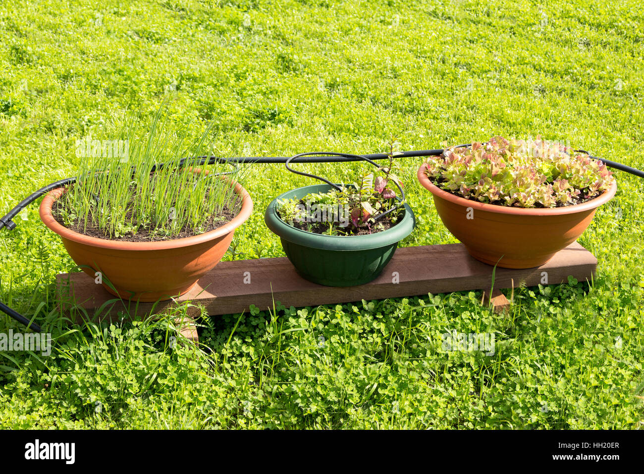 Three Pots High Resolution Stock Photography and Images - Alamy