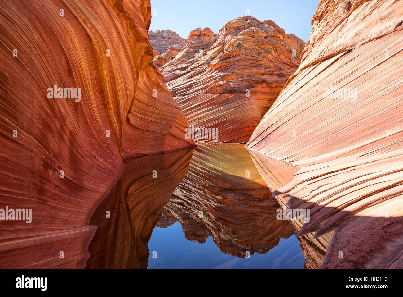 The Wave, Arizona, USA red rock formation eroded in the shape of a wave ...