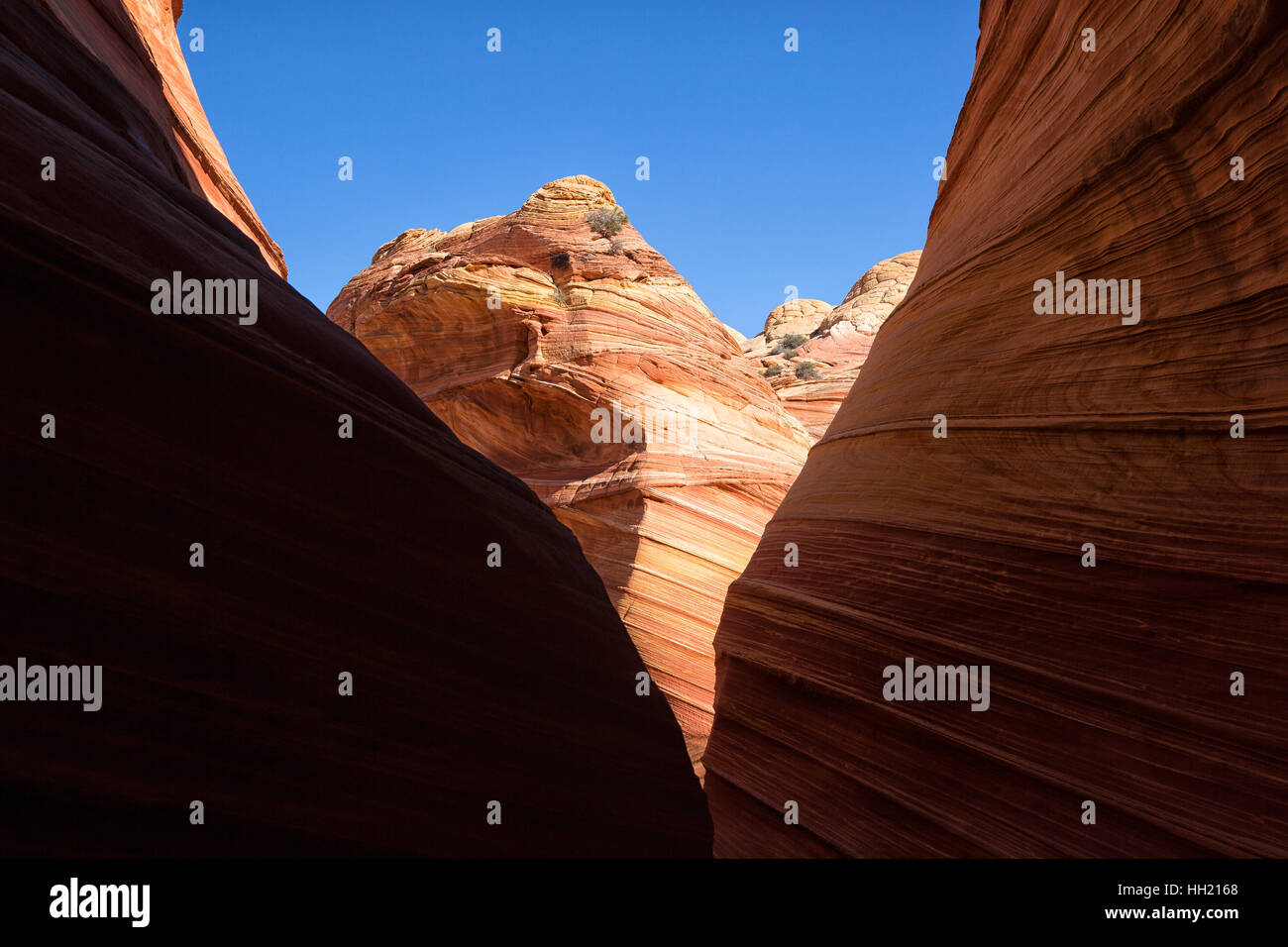 eroded red cliffs in The Wave Arizona Stock Photo - Alamy