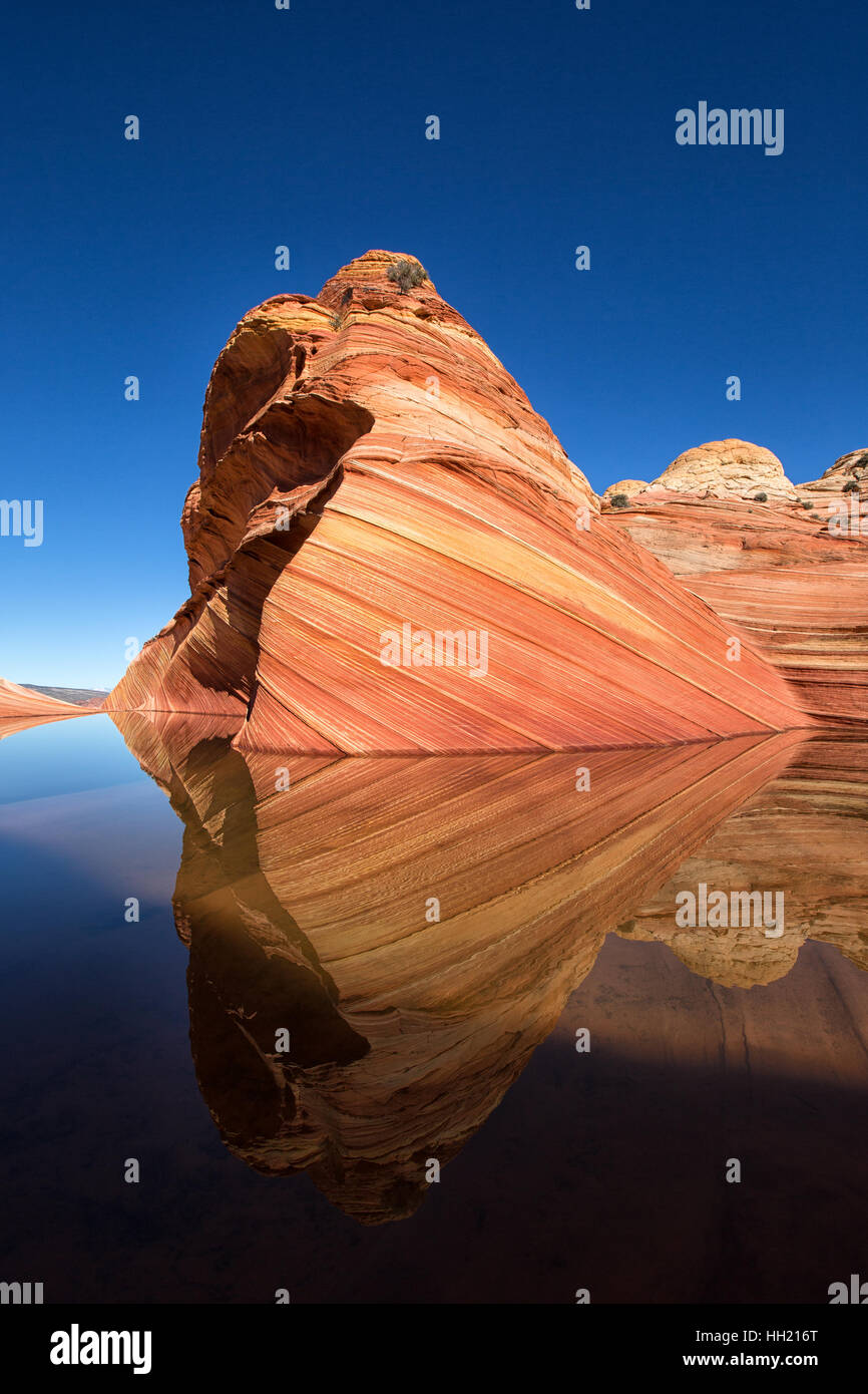 The wave geological formation reflected in the water, Arizona, USA ...