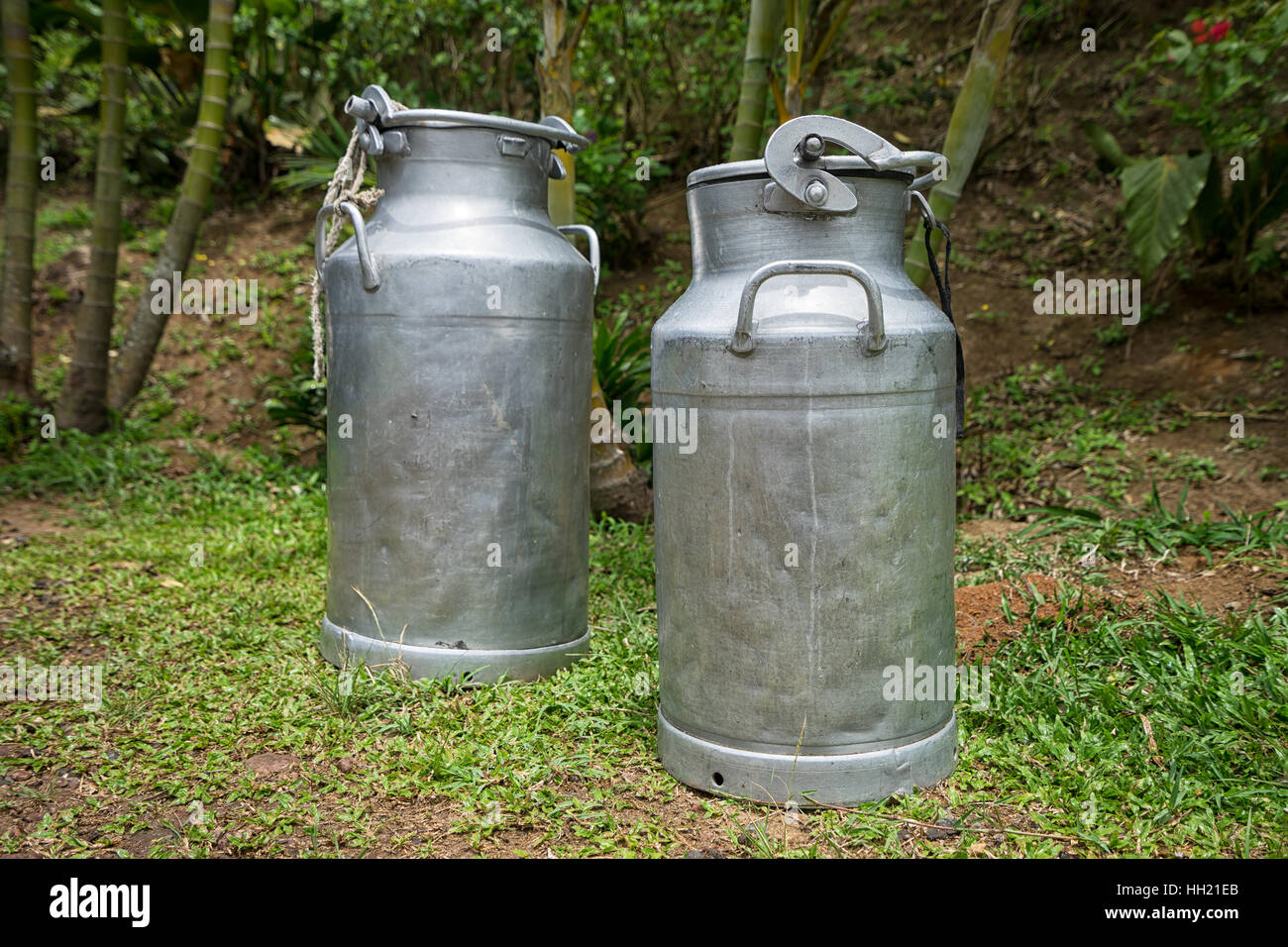 milk collection recipients outdoors in Costa Rica Stock Photo - Alamy