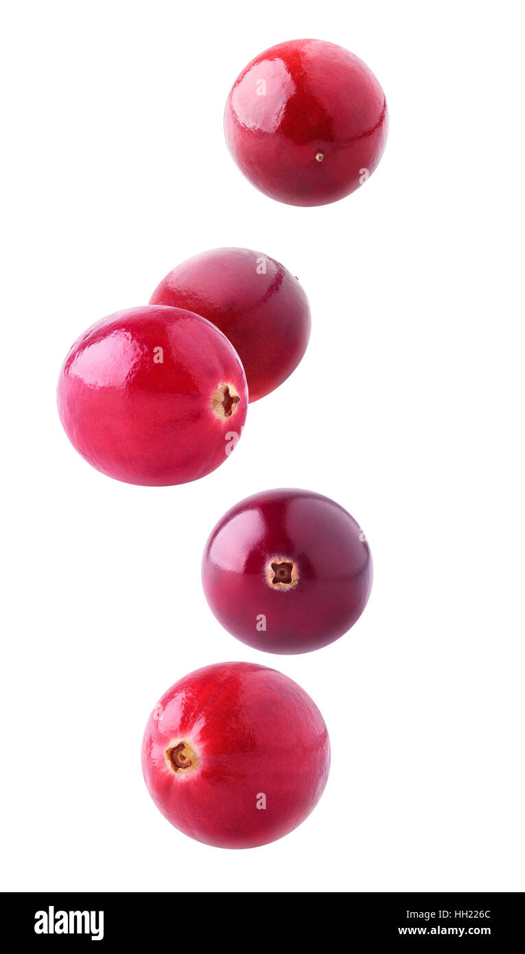 Isolated flying berries. Five falling cranberry fruits isolated on ...