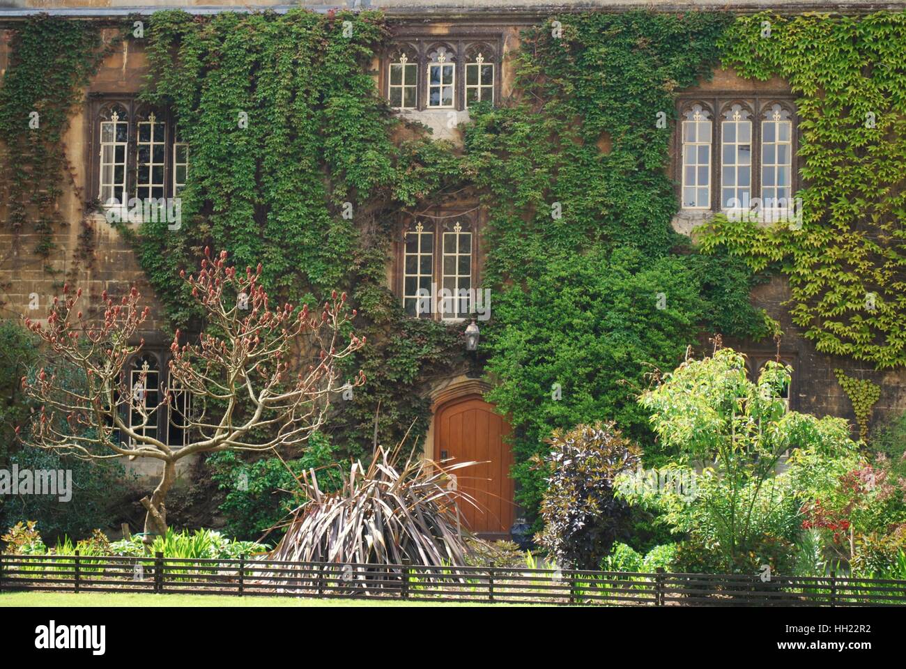 Ivy covered college building hi-res stock photography and images - Alamy