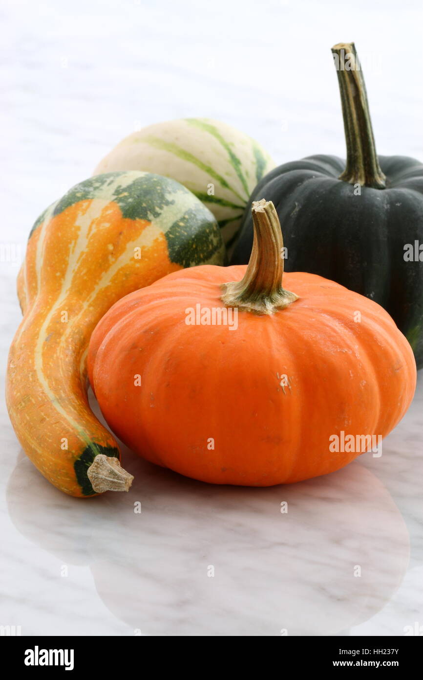 Beautiful organic assorted pumpkins or summer squash on carrara marble ...