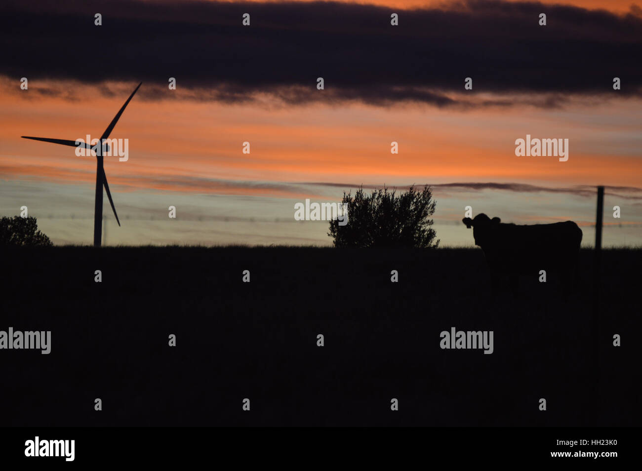Silhouetted windmill hi-res stock photography and images - Alamy