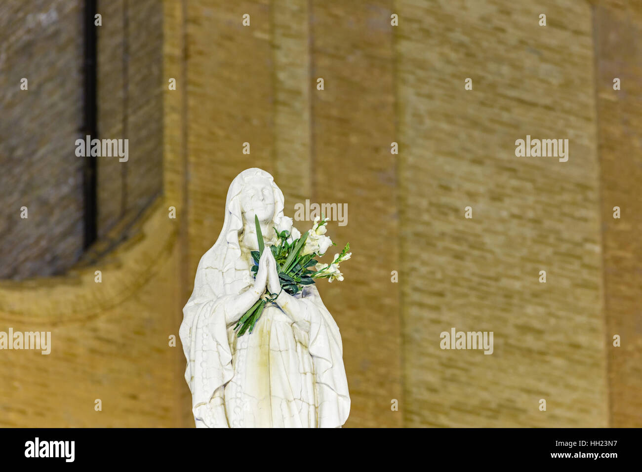 The statue of the Blessed Virgin Mary holding white roses at night ...