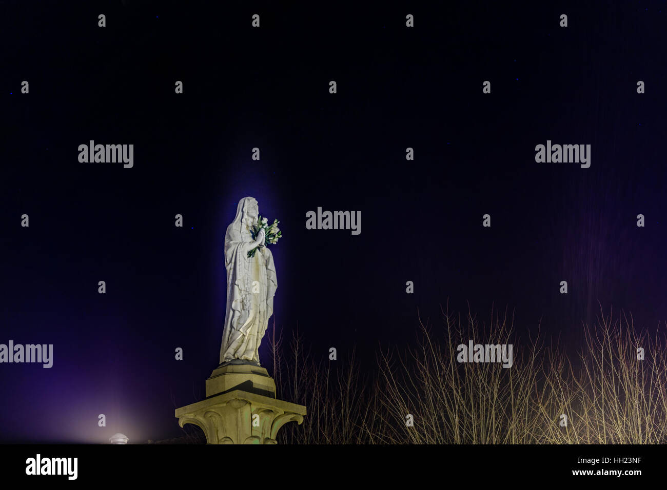 The statue of the Blessed Virgin Mary holding white roses at night ...
