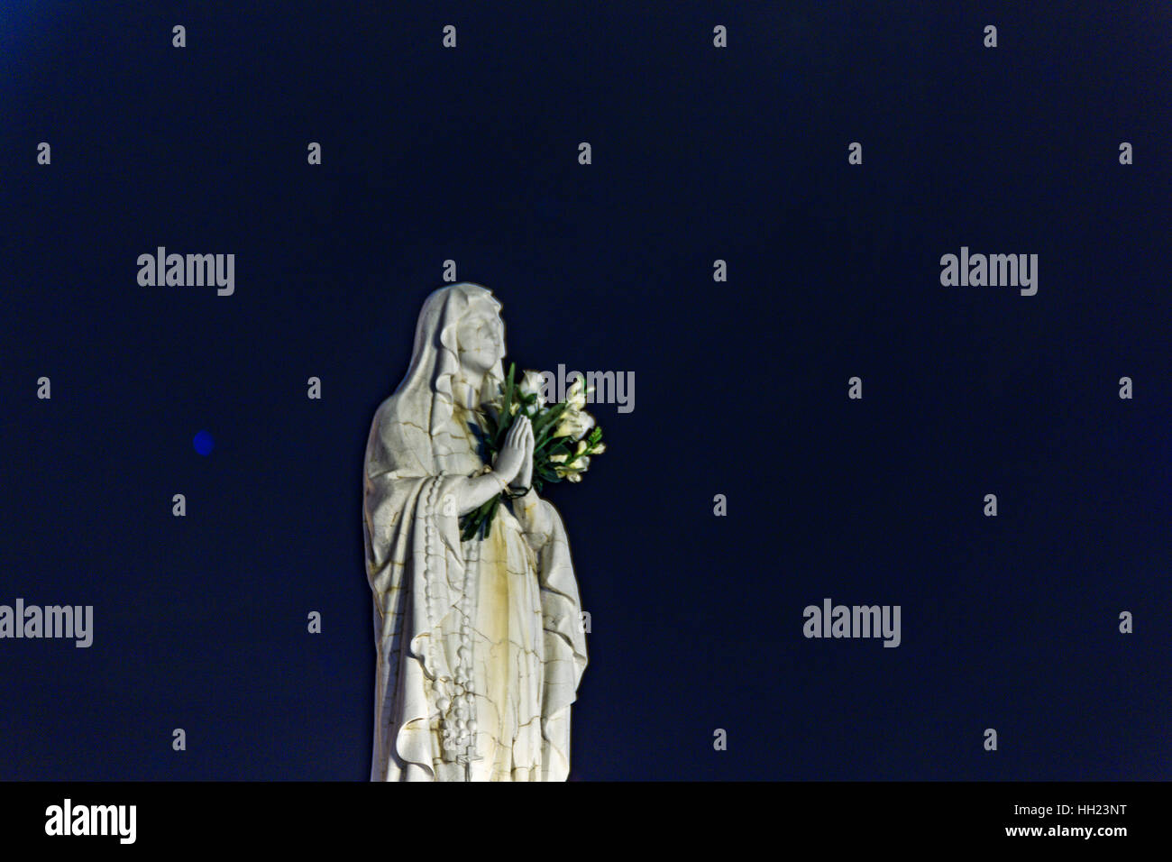 The statue of the Blessed Virgin Mary holding white roses at night ...