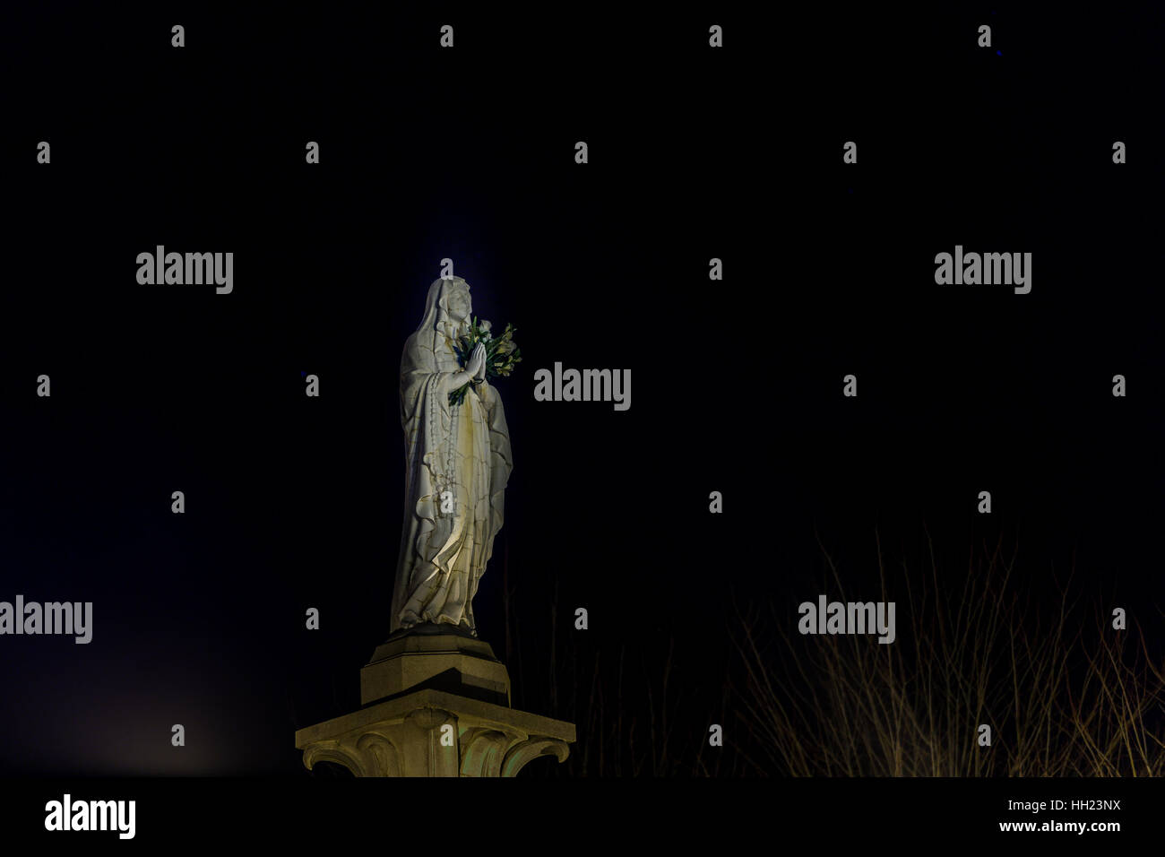 The statue of the Blessed Virgin Mary holding white roses at night ...