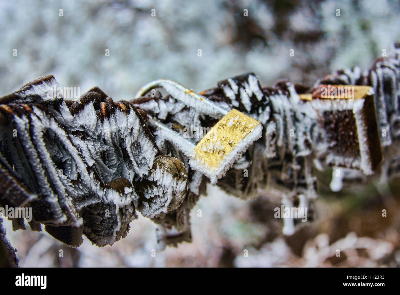 Winter wonderland, frozen padlocks cover after frozen snow, Huangshan ...