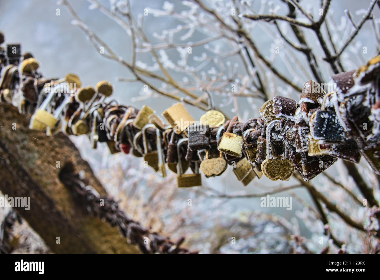 Winter wonderland, frozen padlocks cover after frozen snow, Huangshan ...