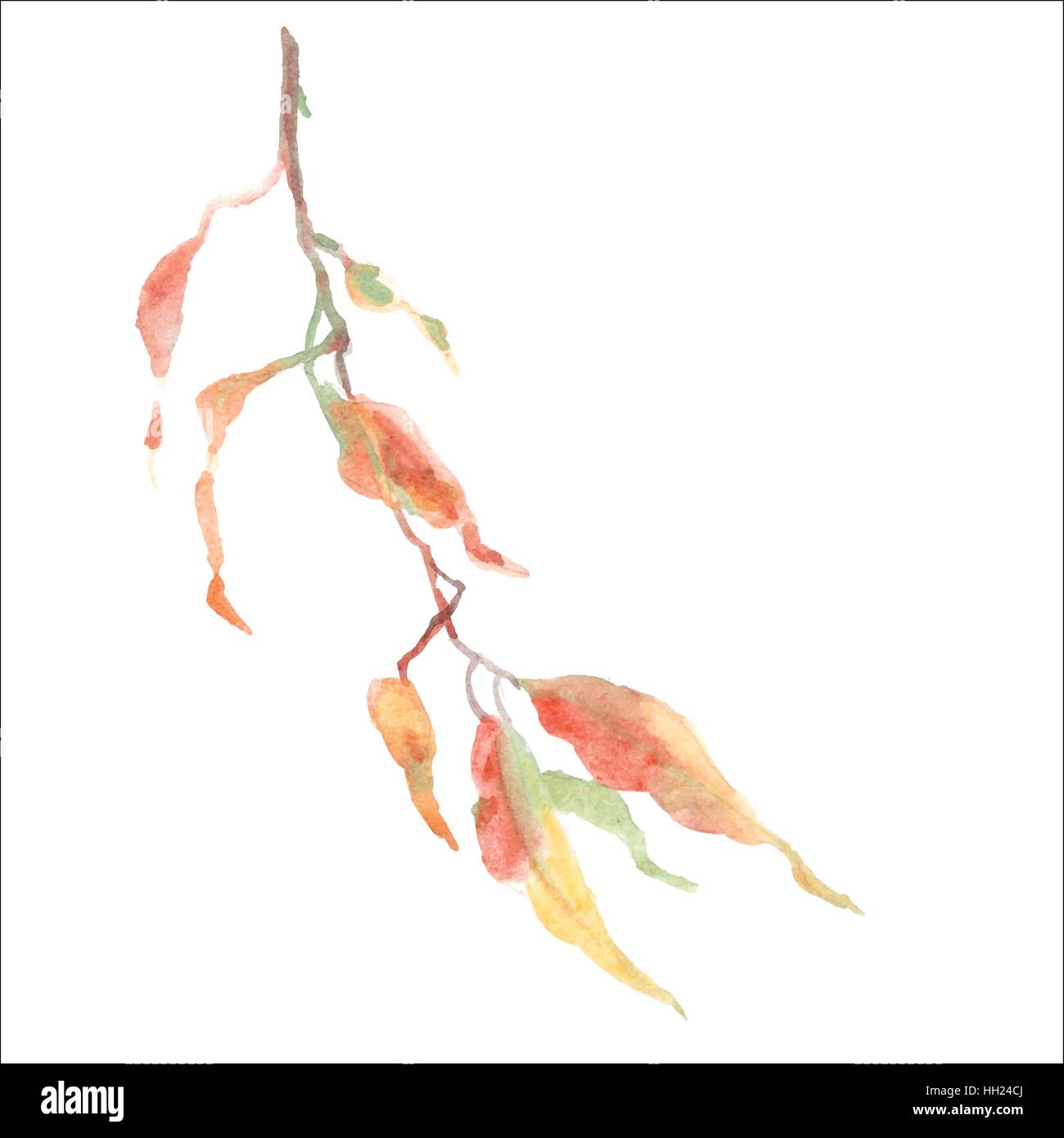 Tree branch picture Stock Vector Images - Alamy