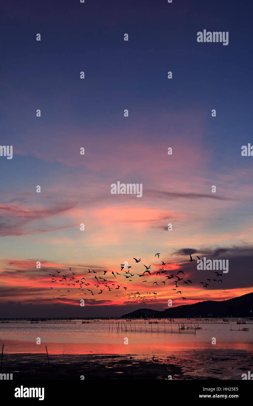 Evening Landscape Sunset Lake Stock Photo - Alamy