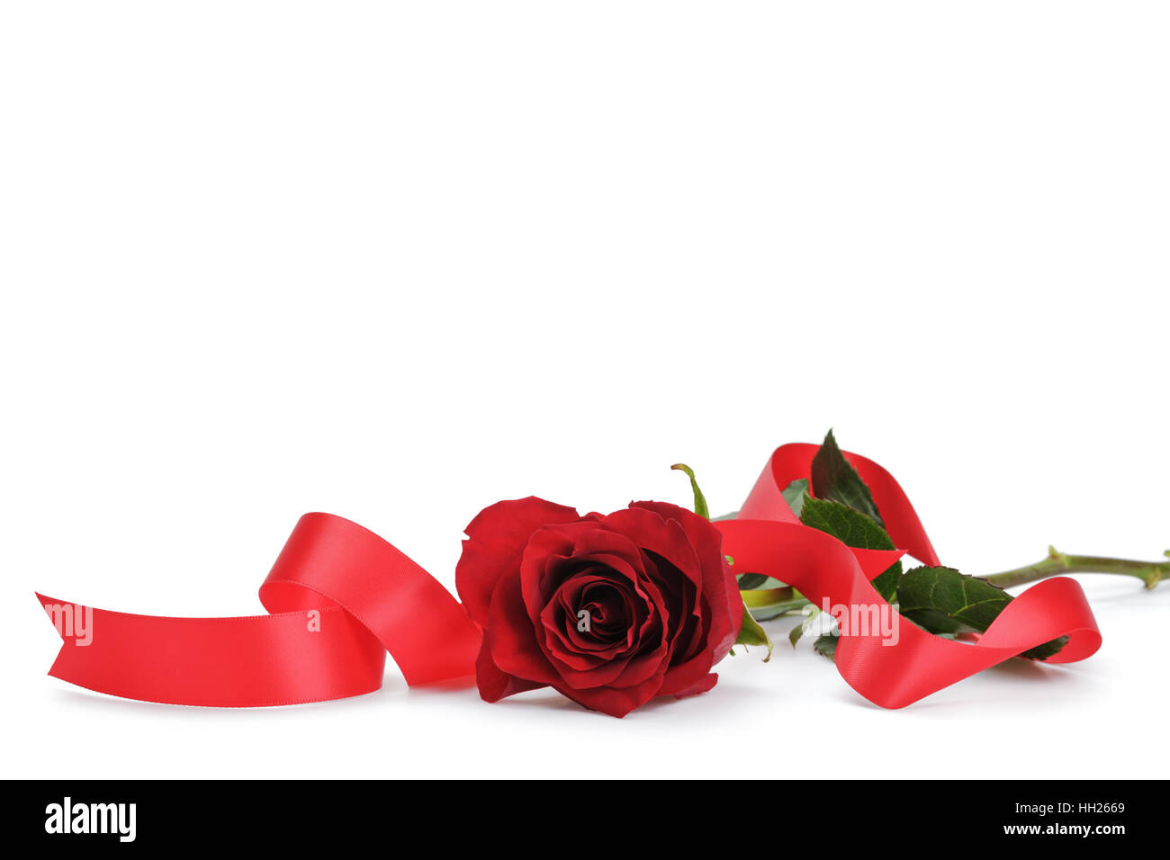 Red rose flower ribbon Cut Out Stock Images & Pictures - Alamy