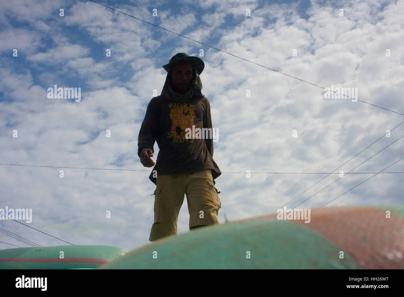 Rice loading hi-res stock photography and images - Alamy