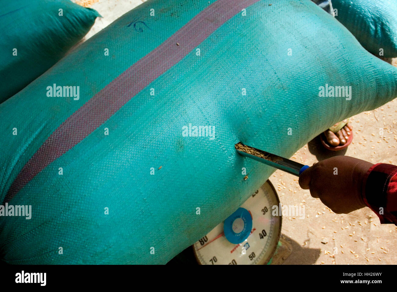 Quality rice hi-res stock photography and images - Alamy