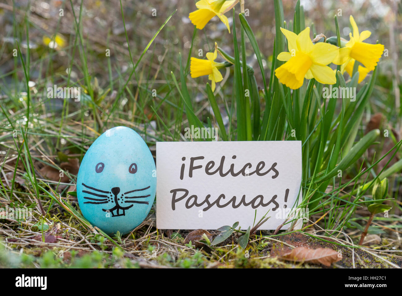 Spanish card hi-res stock photography and images - Alamy