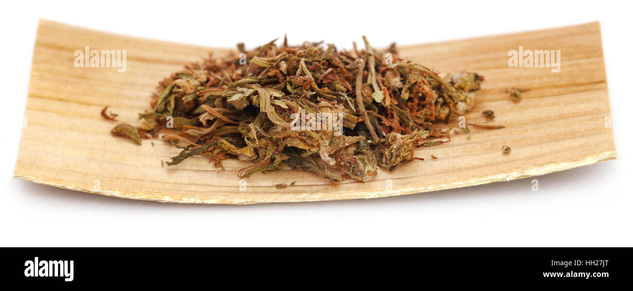 Cannabis indica hi-res stock photography and images - Alamy