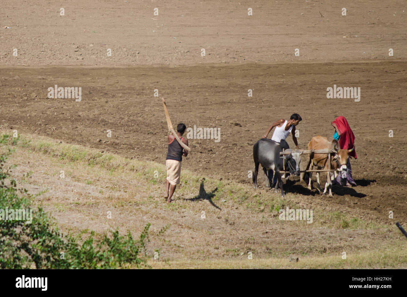 Indian Farmer family in the field Stock Photo - Alamy