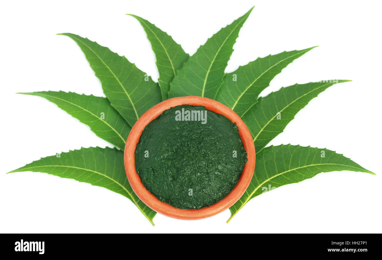 Single Neem Leaf