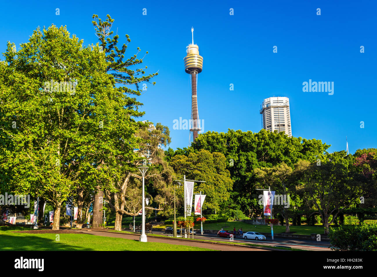 Hyde Park with modern building in the background in Sydney, Australia ...