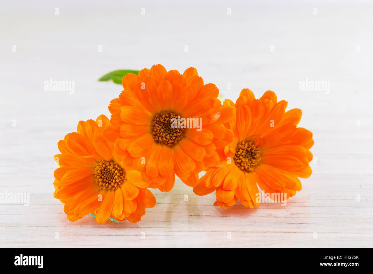Marigold bouquet hi-res stock photography and images - Alamy