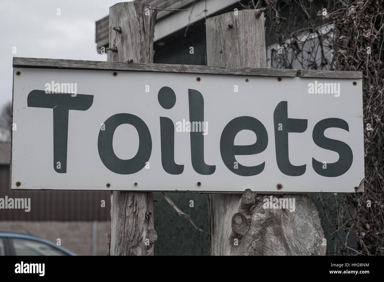 Green and white WC sign nailed onto a couple of old tree stumps Stock ...