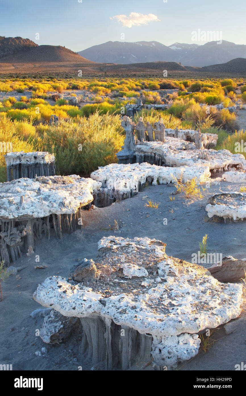 Mono landscape hi-res stock photography and images - Alamy