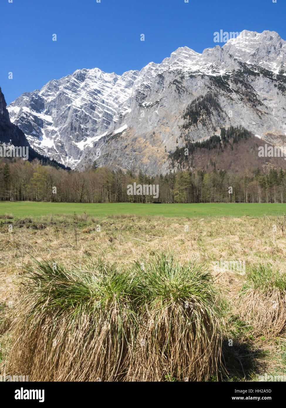 Landscape at the Bavarian Alps, Germany, with mountains in the ...