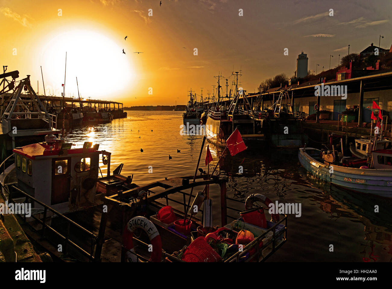 North shields fish quay hi-res stock photography and images - Alamy