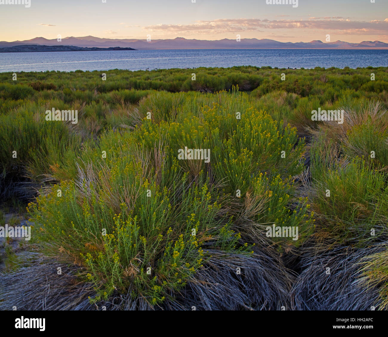 Mono landscape hi-res stock photography and images - Alamy