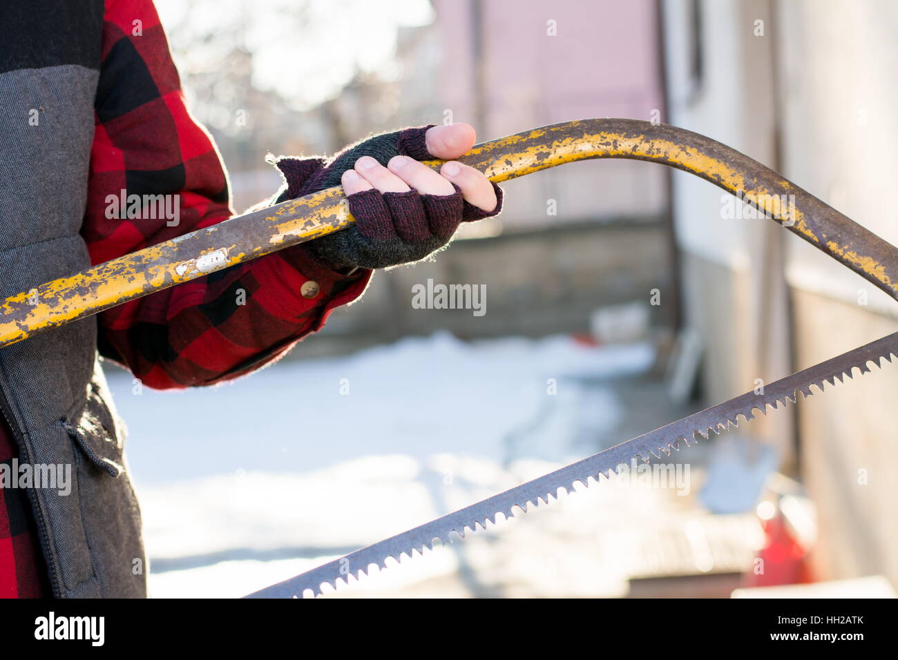 Man holding a hand saw for cutting wood in the yard Stock Photo - Alamy