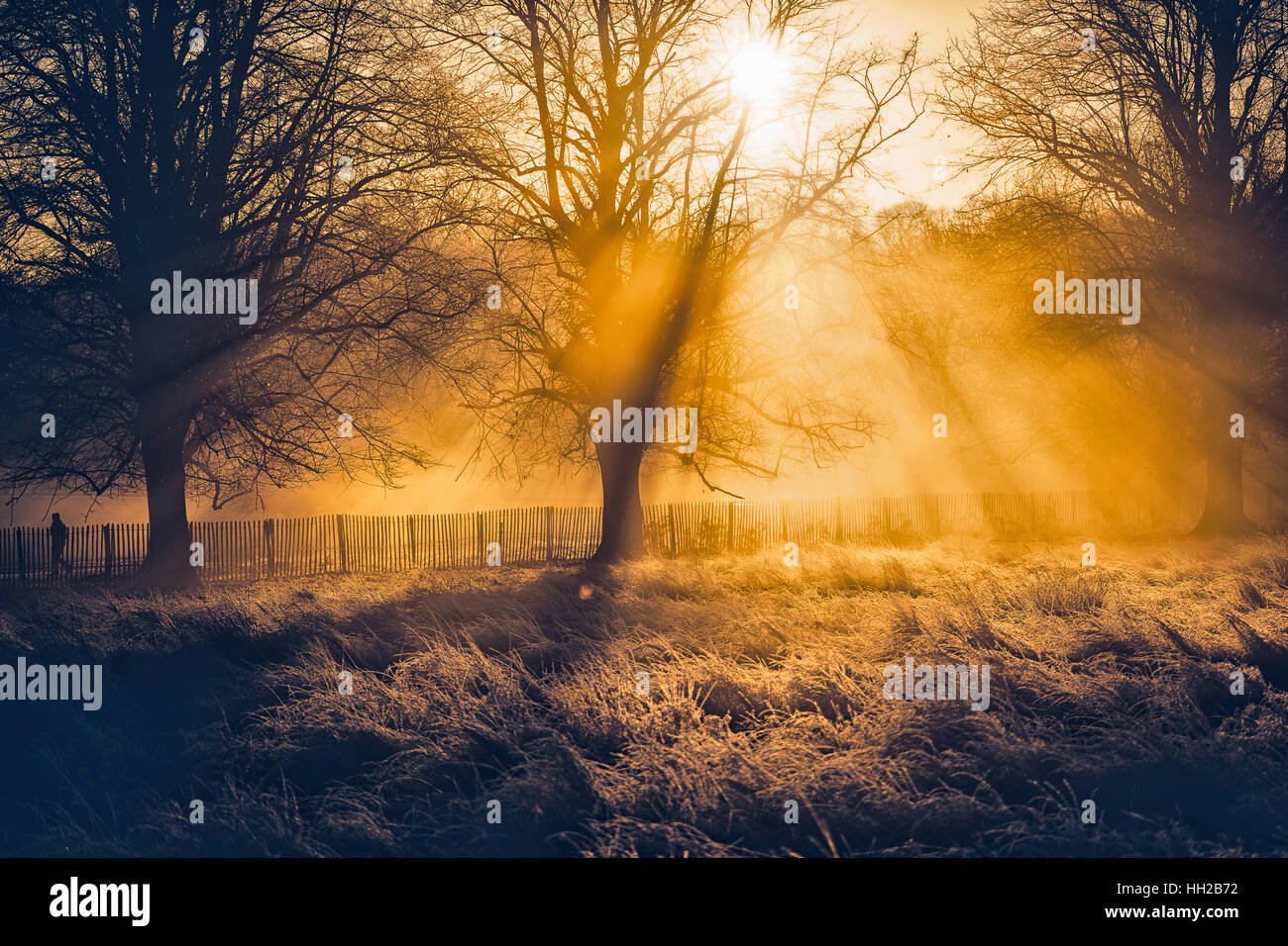 Morning jog winter hi-res stock photography and images - Alamy