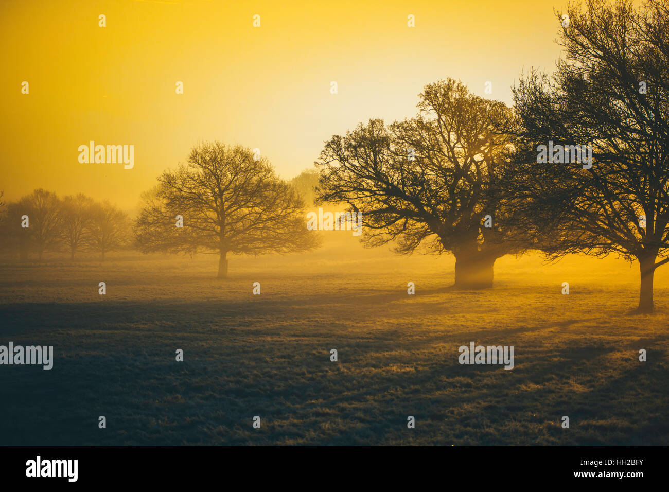 Fog basking hi-res stock photography and images - Alamy