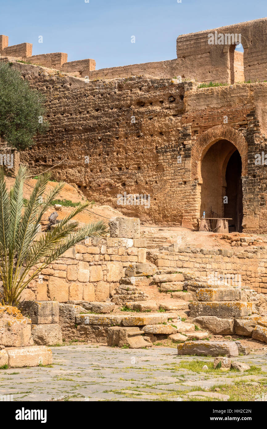 Ancient Ruins Of The Cellah Fortress Rabat Morocco Stock Photo - Alamy