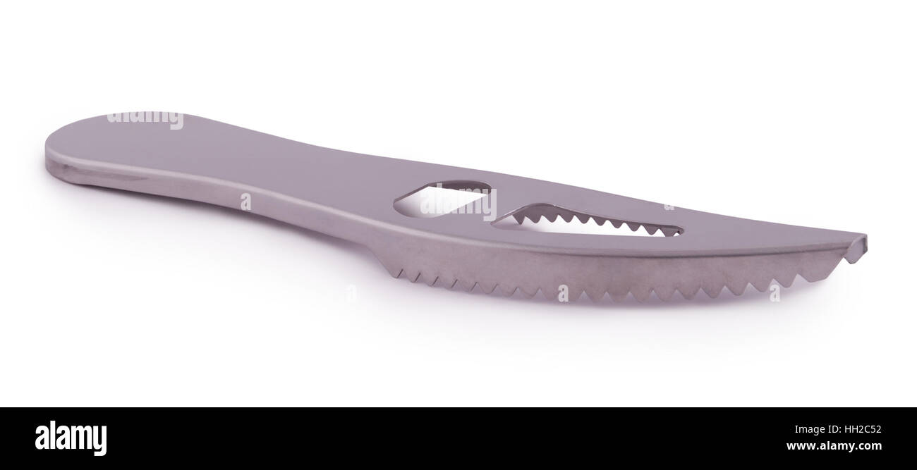 Fish scaler - tool to cleaning fish scale, isolated on white. Clipping ...