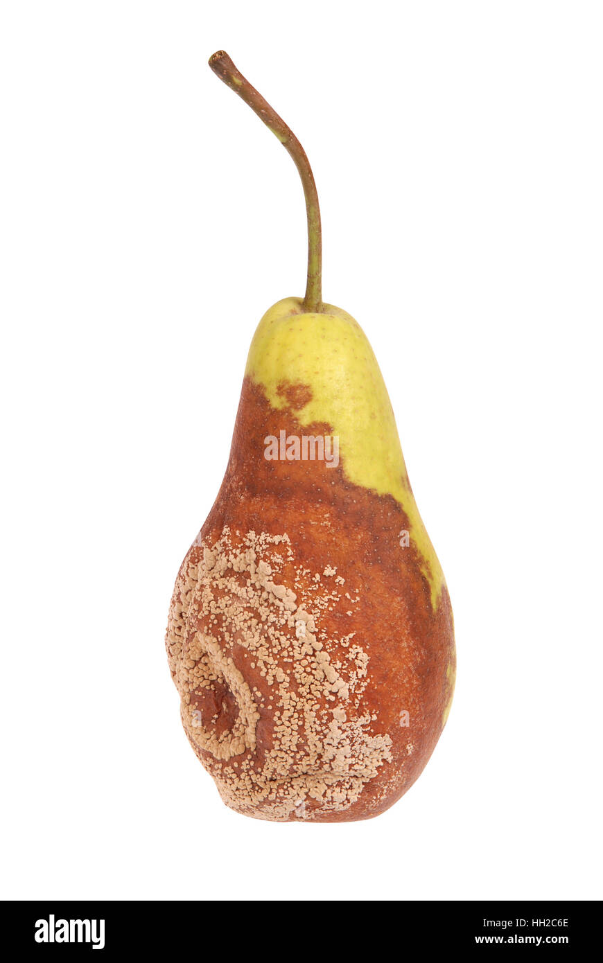 Rotten pear hi-res stock photography and images - Alamy