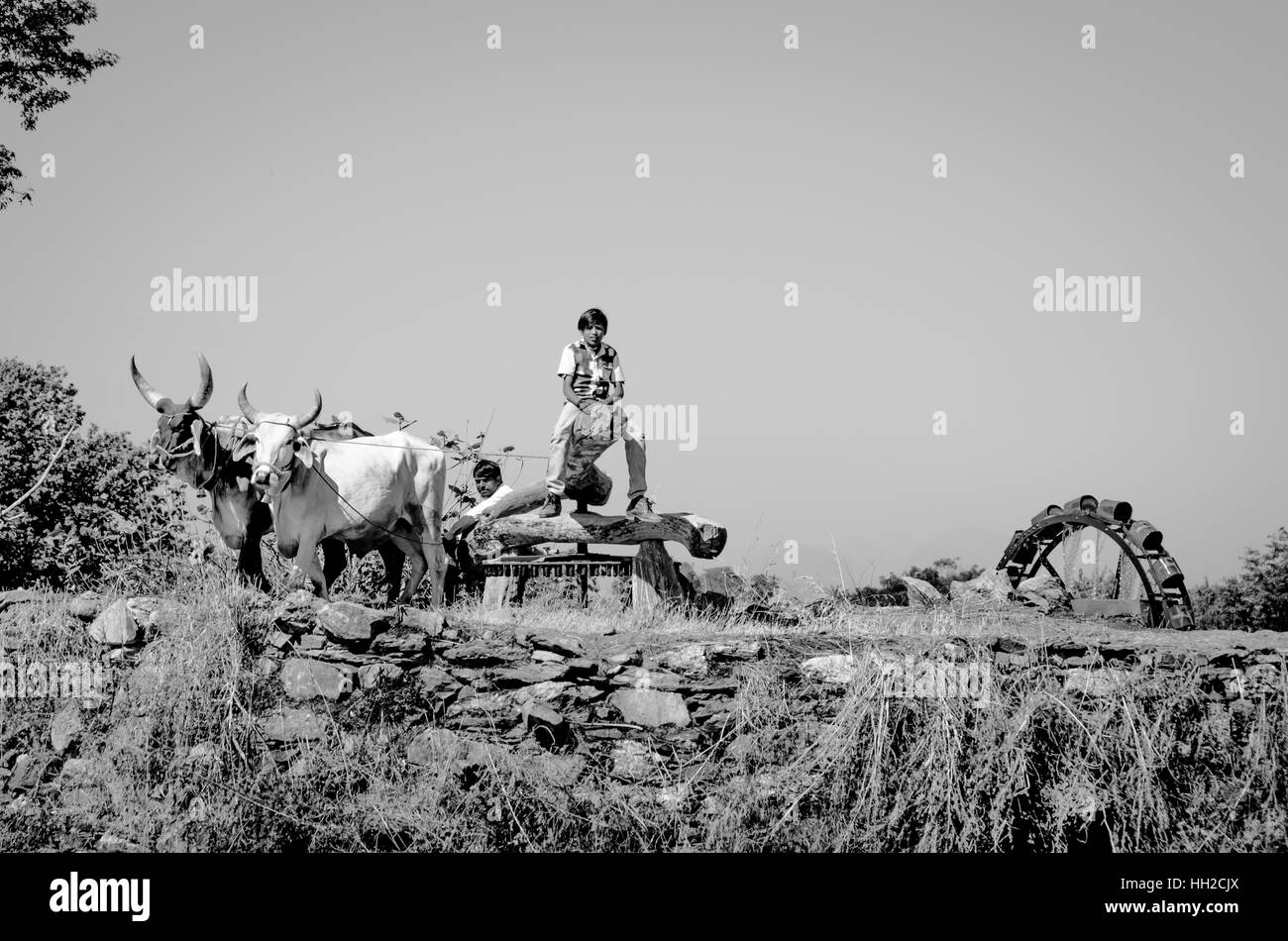 Ancient water-wheel in rural Gujarat, India. Irrigation water for crops ...