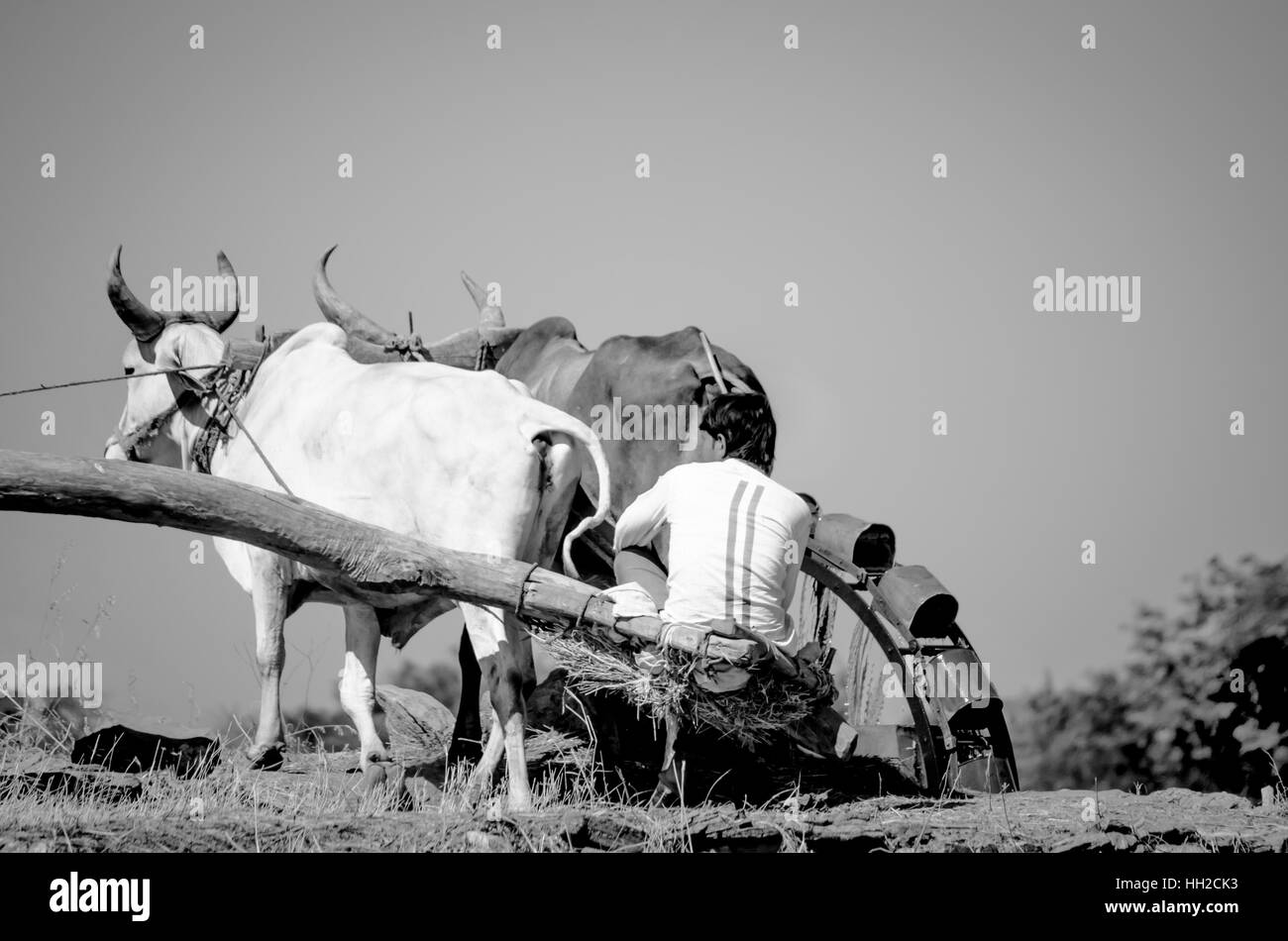 Ancient water-wheel in rural Gujarat, India. Irrigation water for crops ...
