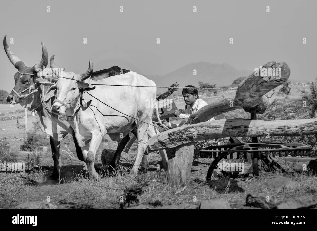 Ancient agriculture farming Black and White Stock Photos & Images - Alamy