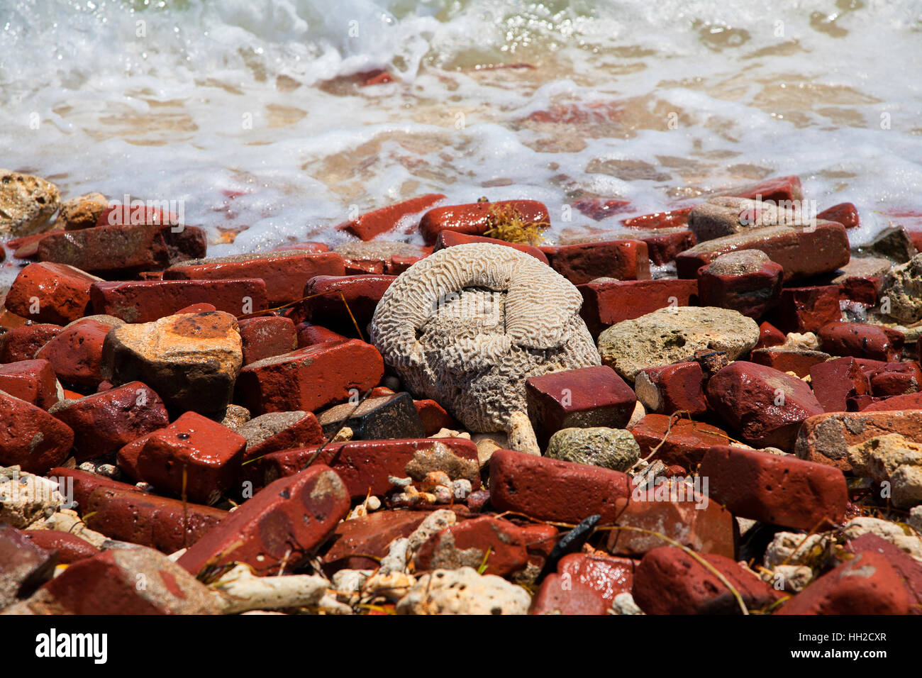 Dry Tortugas National Park-Garden Key shoreline with scattered brick ...
