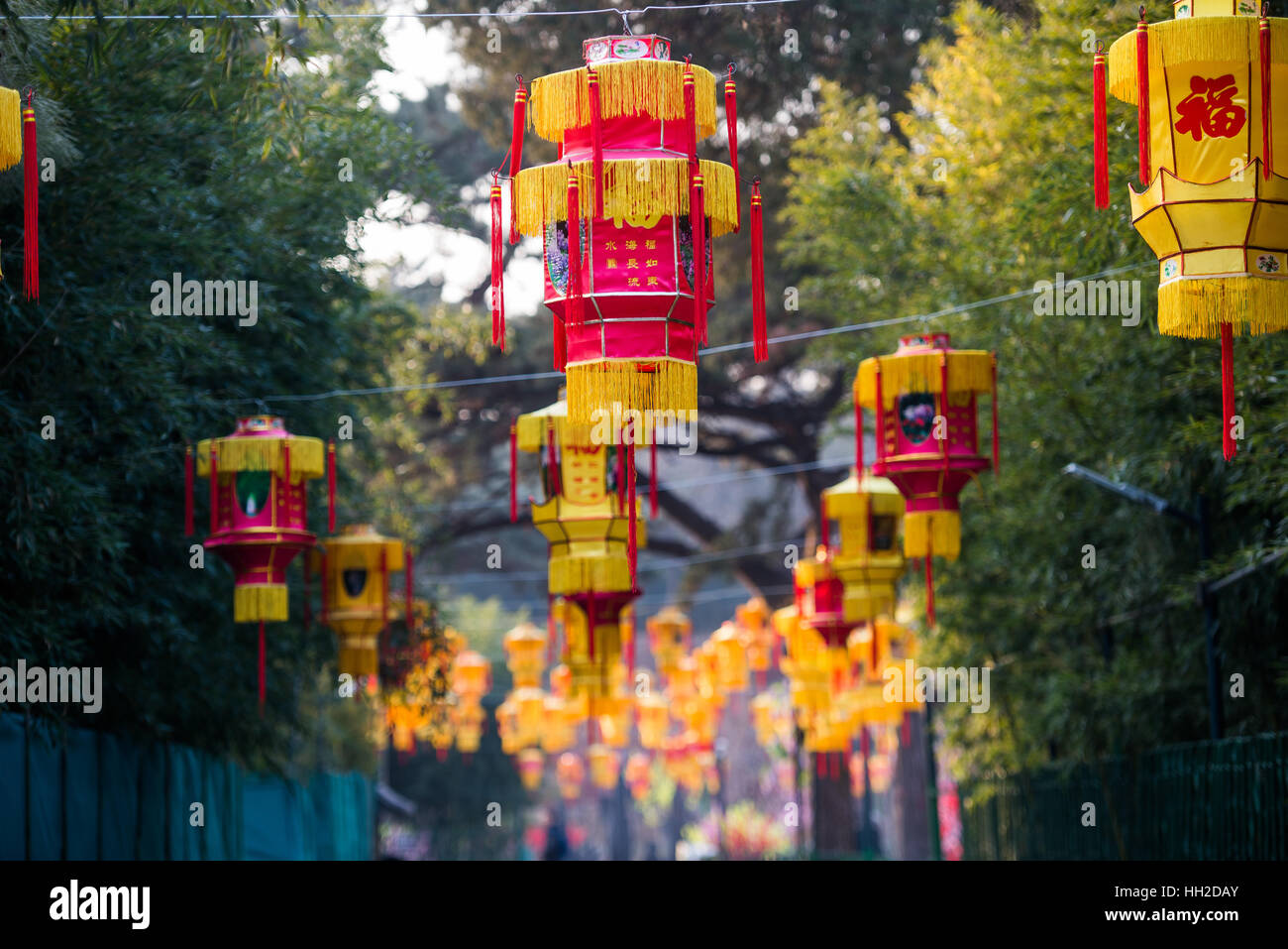 Yellow chinese lantern with messages wishing good luck, health, peace ...