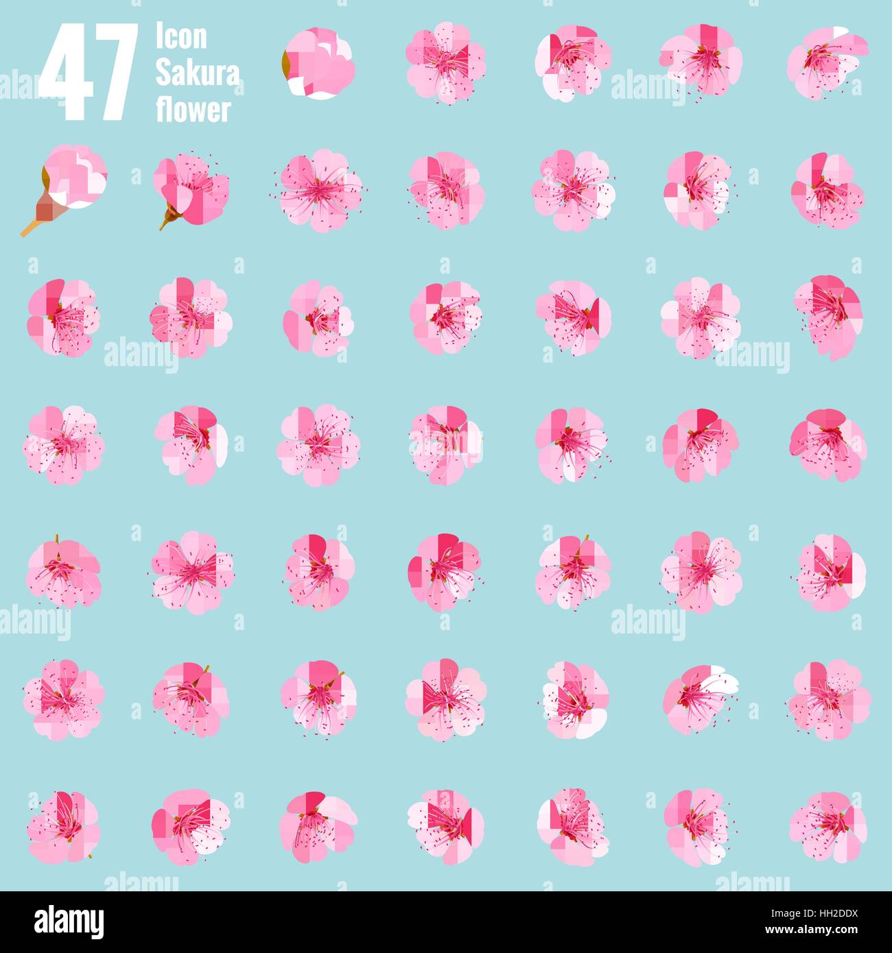 Cherry flower vector Stock Vector Images - Alamy